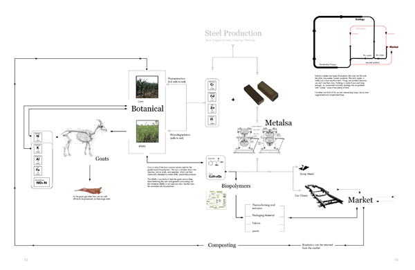 How to Design with the Animal - Ex En
