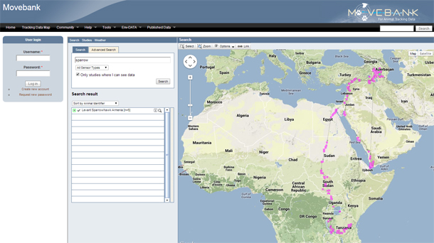 Animal Paths - Ex En