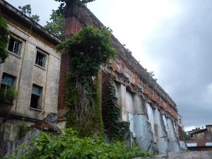 Animal Architecture Awards Announced! – Ex En