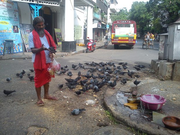 AMBIGUOUS TERRITORY: ARCHITECTURE, LANDSCAPE, AND THE POSTNATURAL – Ex En