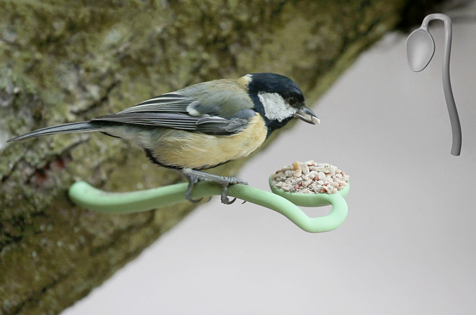 Nature’s Toolbox - Ex En