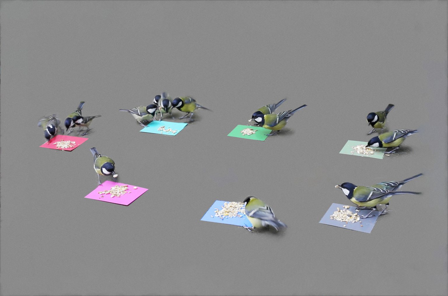 A Monstrous Architecture Part 3 - Ex En