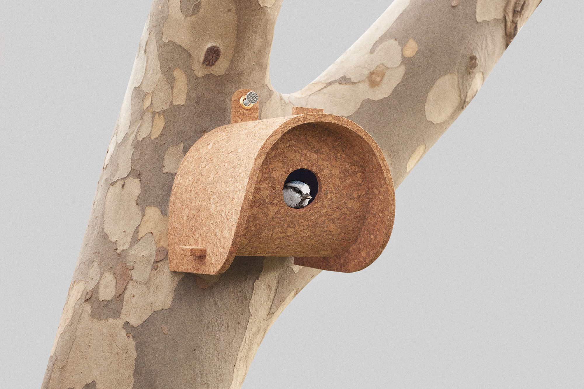 A conversation with Amy Haigh - Ex En