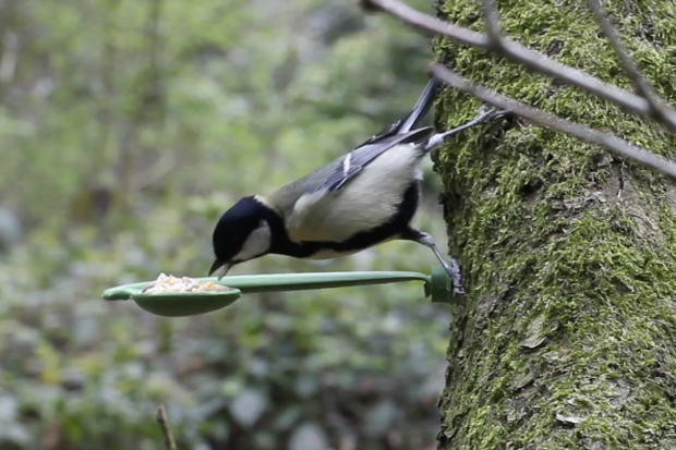 A conversation with Amy Haigh - Ex En