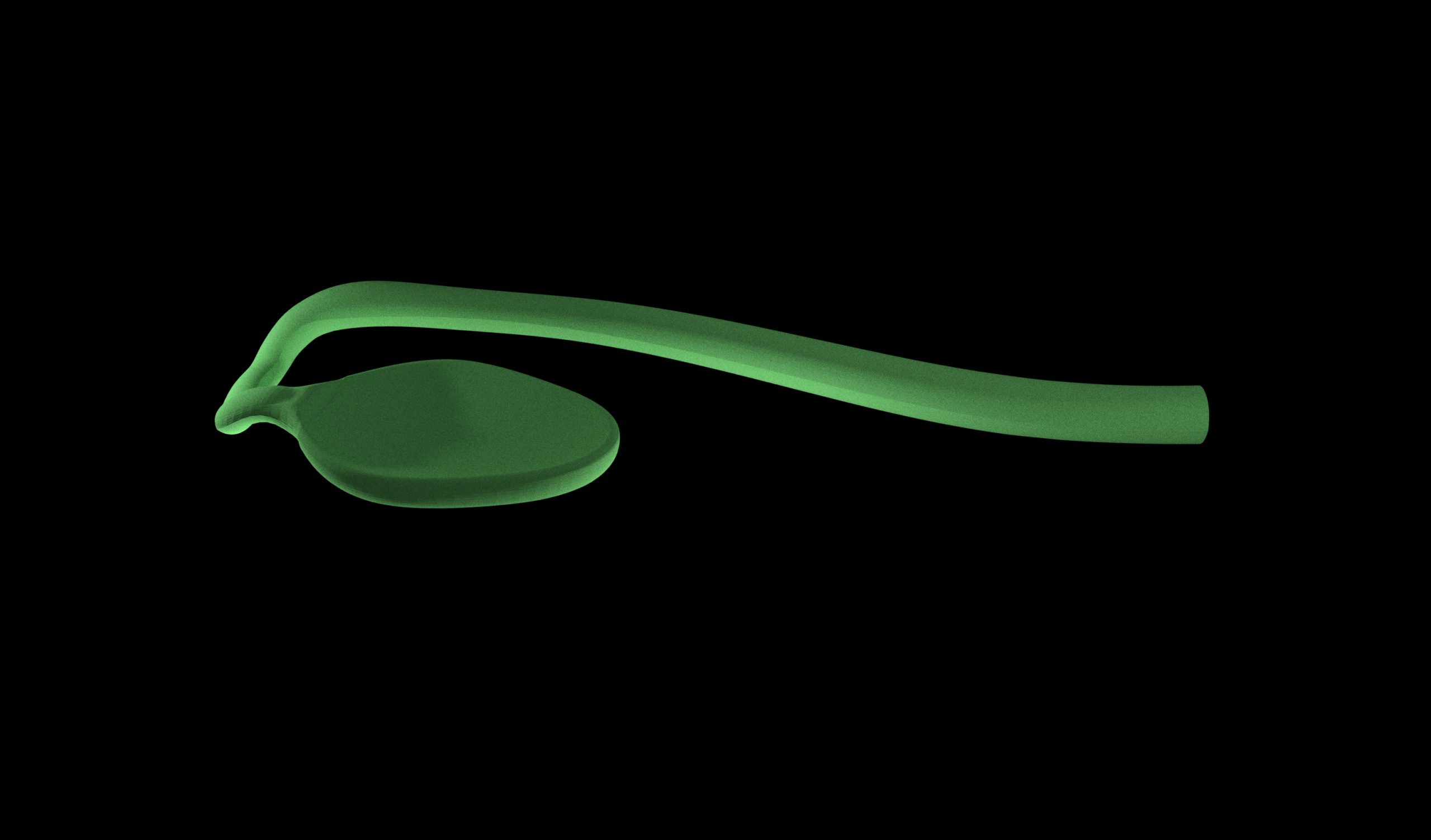 A conversation with Amy Haigh - Ex En