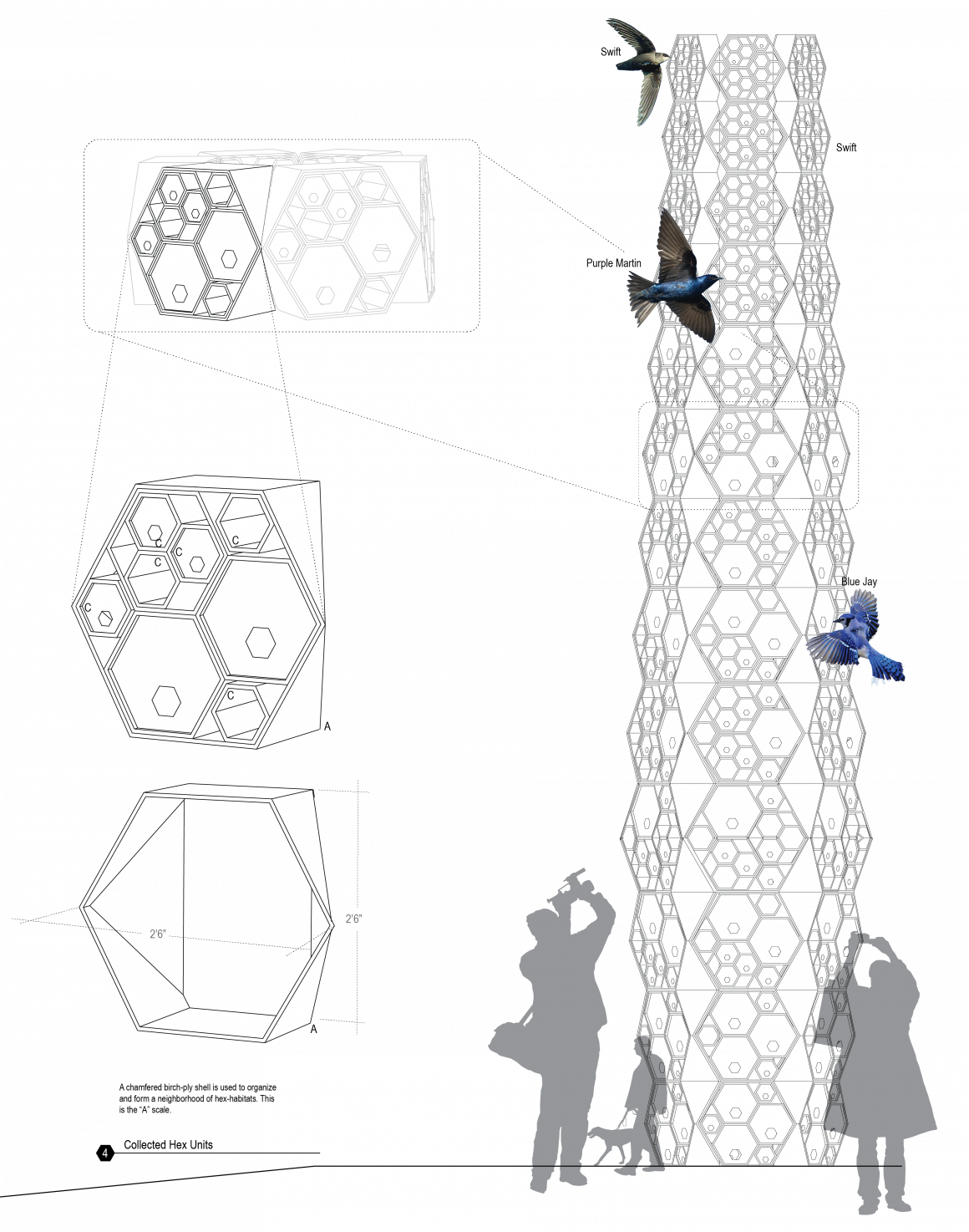 The Urban Rookery - Ex En
