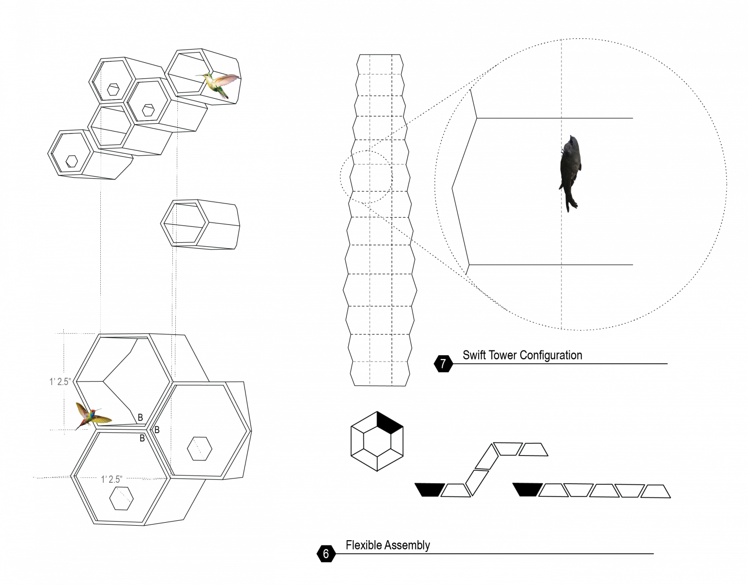 The Urban Rookery - Ex En