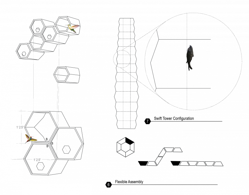 The Urban Rookery - Ex En